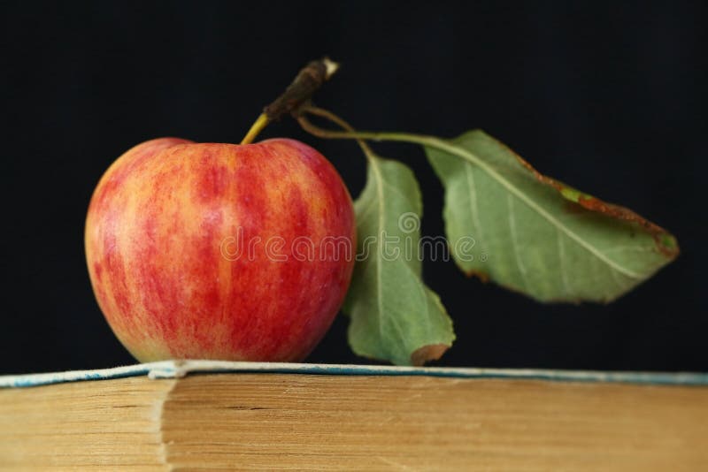 Apple and old books stock photo. Image of pupil, leaf - 77735958