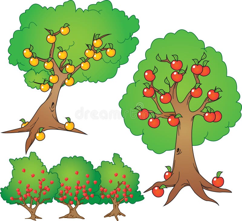Apple, Orange Tree and Berry Bush Stock Vector - Illustration of ...
