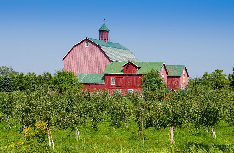 Apple orchard and barn stock image. Image of agriculture - 44345481