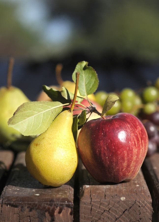 Apple and pear stock image. Image of morning, nature - 26390629