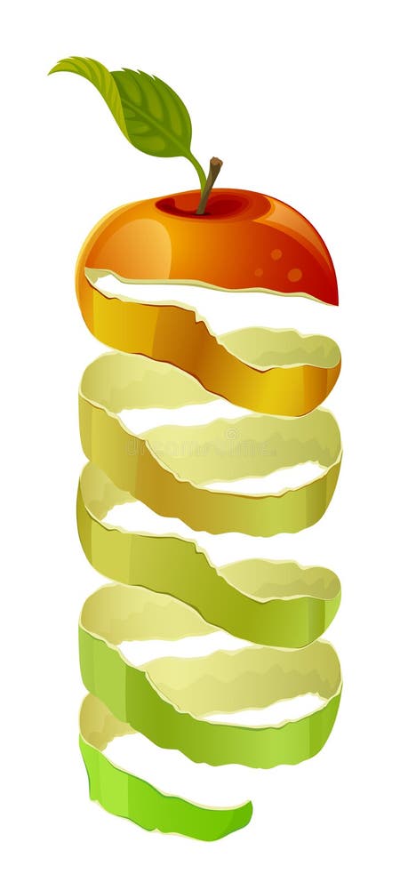 Apple Peel Stock Illustrations – 2,337 Apple Peel Stock Illustrations ...