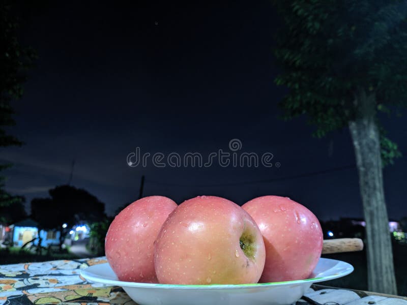 Photo of Night Sky and Moon and Trees Stock Image - Image of morning ...
