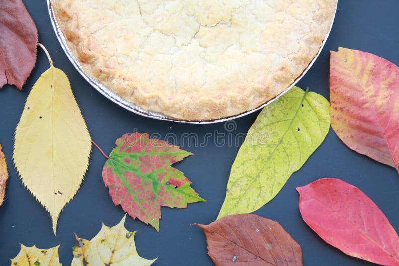 Fll Ground Breaking Stock Photos - Free & Royalty-Free Stock Photos ...