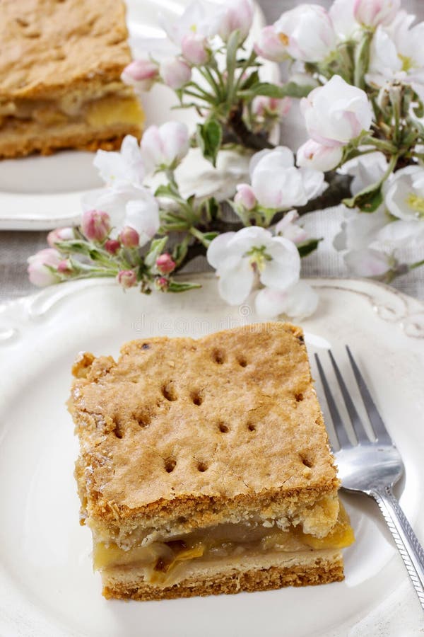 Apple pie stock image. Image of homemade, aroma, checkered - 40280719