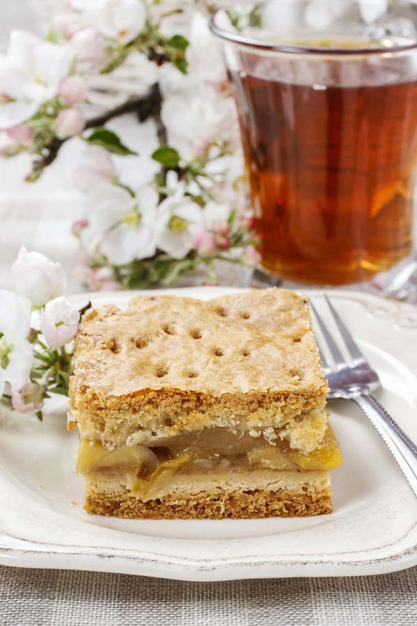 Apple pie stock photo. Image of festive, food, custard - 40280926