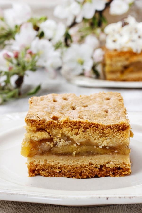 Apple pie stock image. Image of bake, mousse, blooming - 40281007