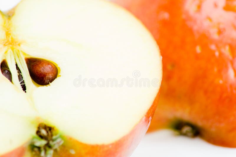 Apple pip stock photo. Image of vitamin, sweet, healthy - 8508236
