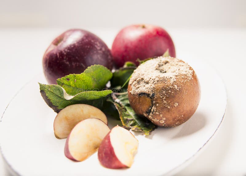 Apple Plate, Fresh and Rotten Stock Image - Image of rotten, plate ...