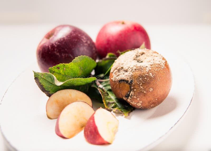 Fresh and rotten apple stock photo. Image of rotting - 60939678