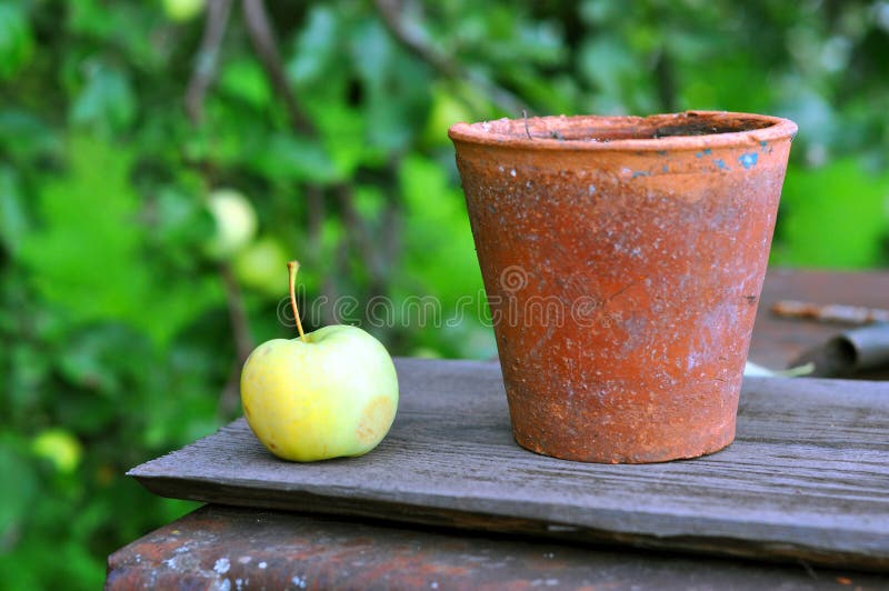 Apple and pot stock image. Image of ceramics, edge, wood - 36018053