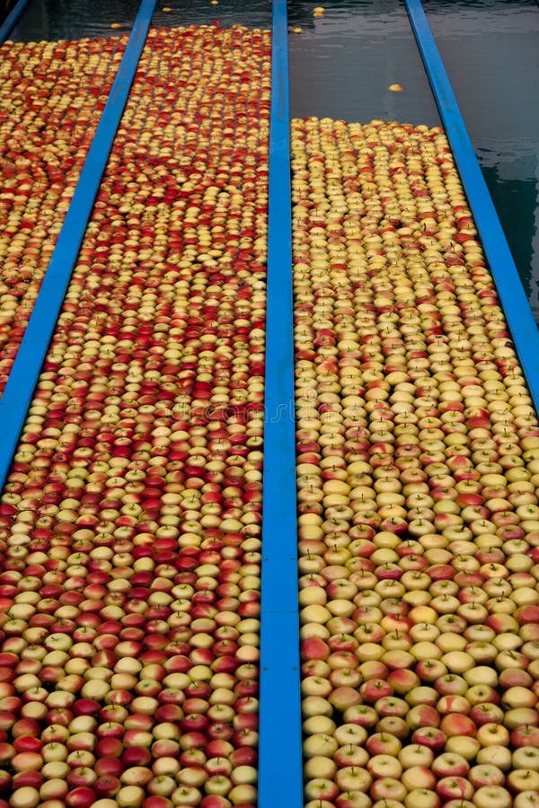 Apple production stock image. Image of blue, processing - 24449573