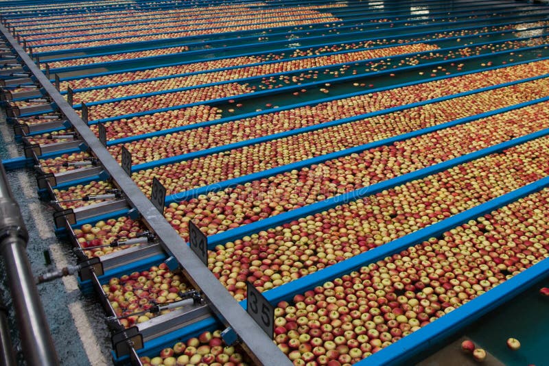 Apple production stock image. Image of factory, apples - 24449619