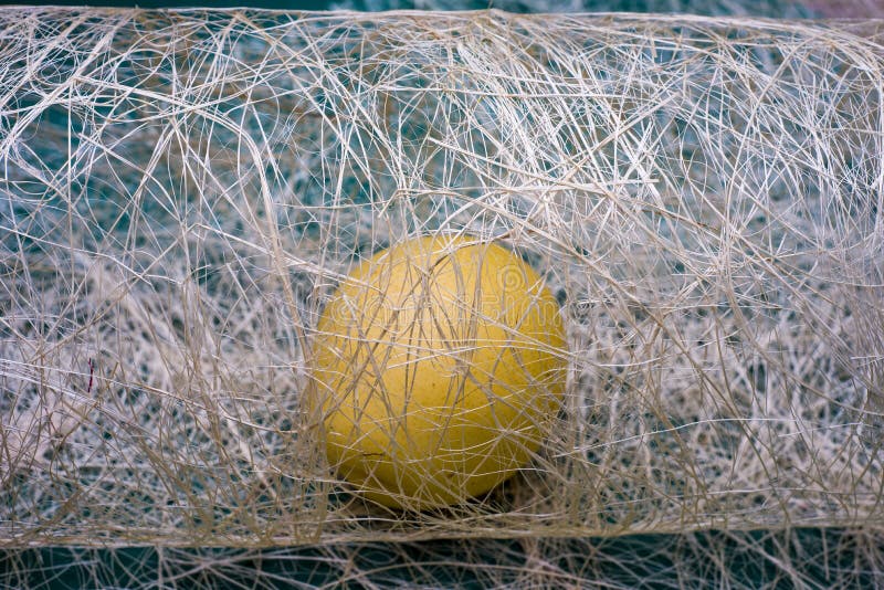 Apple Protective Packaging Isolated White Background Stock Photos ...