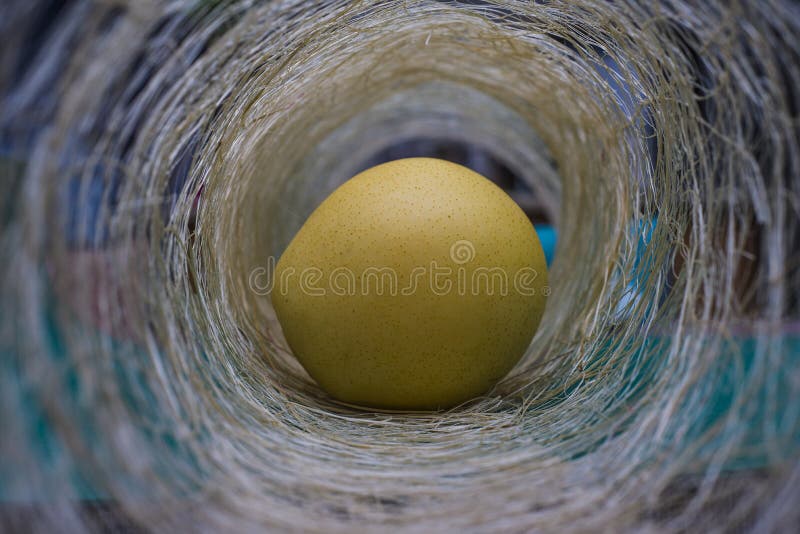 Apple with Protective Packaging on White Background Stock Photo - Image ...
