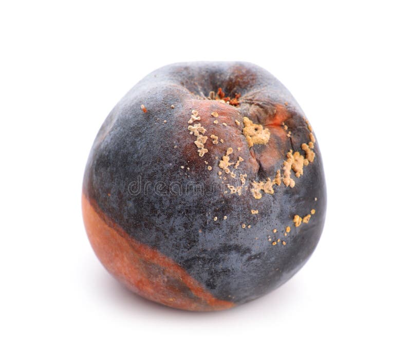 Apple Putrefacto Aislado En El Fondo Blanco Foto de archivo - Imagen de ...