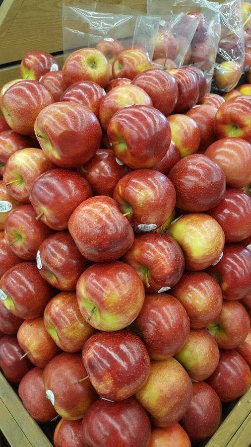 Apple Pyramid editorial stock photo. Image of apples - 91825473