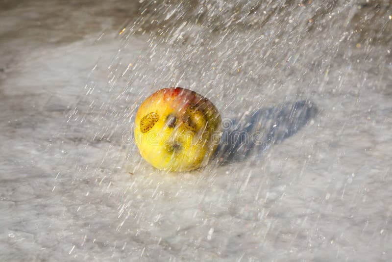 Apple in the rain stock photo. Image of mutationen, joke - 35057686