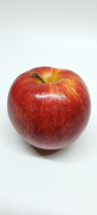 The apple is red stock photo. Image of citrus, berry - 245941652
