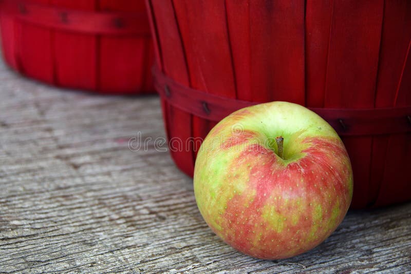 A Rustic Bushel of Apples on Display in Ohio - FRUIT Stock Photo ...