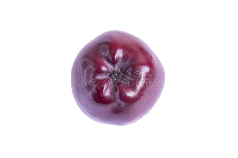 Red Ripe Apple Bottom View Stock Photos - Free & Royalty-Free Stock ...