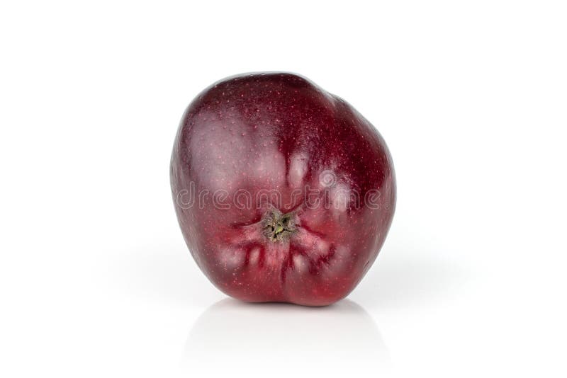 Apple Red Delicious Isolated on White Stock Image - Image of mature ...