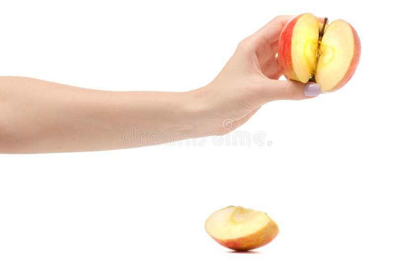 Apple Red Isolation Female Hand Stock Image - Image of fresh, plant ...