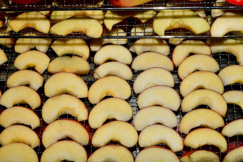 Apple Rings Cut for a Dehydrator Stock Photo - Image of device, fruit ...