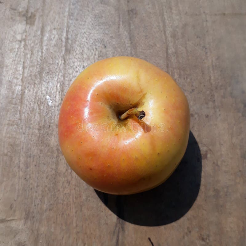 An Apple is a Round, Edible Fruit Produced by an Apple Tree Stock Image ...
