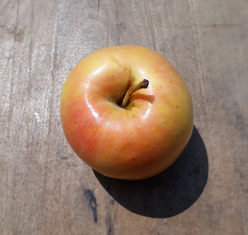 An Apple is a Round, Edible Fruit Produced by an Apple Tree Apple Trees ...