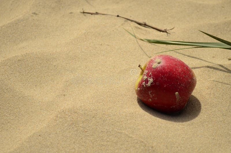 Apple in sand stock photo. Image of calories, brands - 46620832