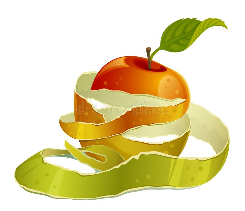 Apple-schil vector illustratie. Illustration of eten - 50339053