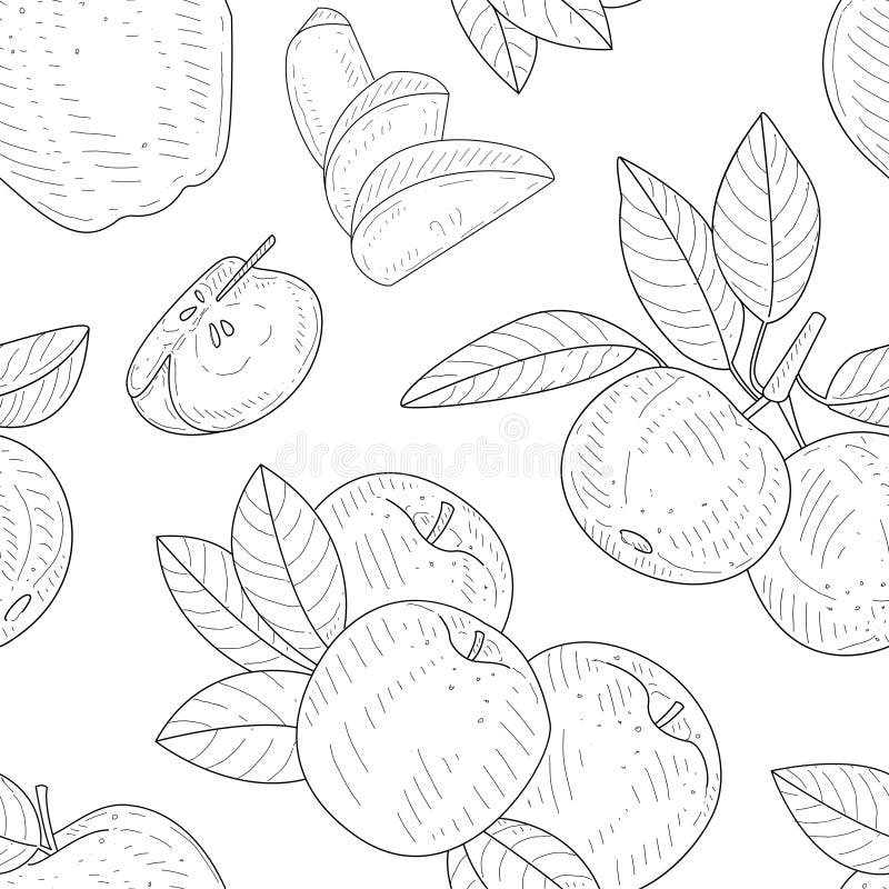 Apple Seamless Pattern, Monochrome Hand Drawn Branches and Apples ... Apple Seamless Pattern, Monochrome Hand Drawn Branches and Apples ...