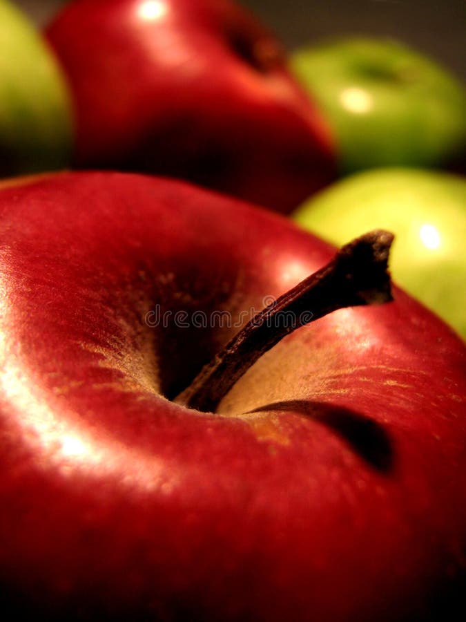 Apple selection stock photo. Image of composition, macro - 3360184