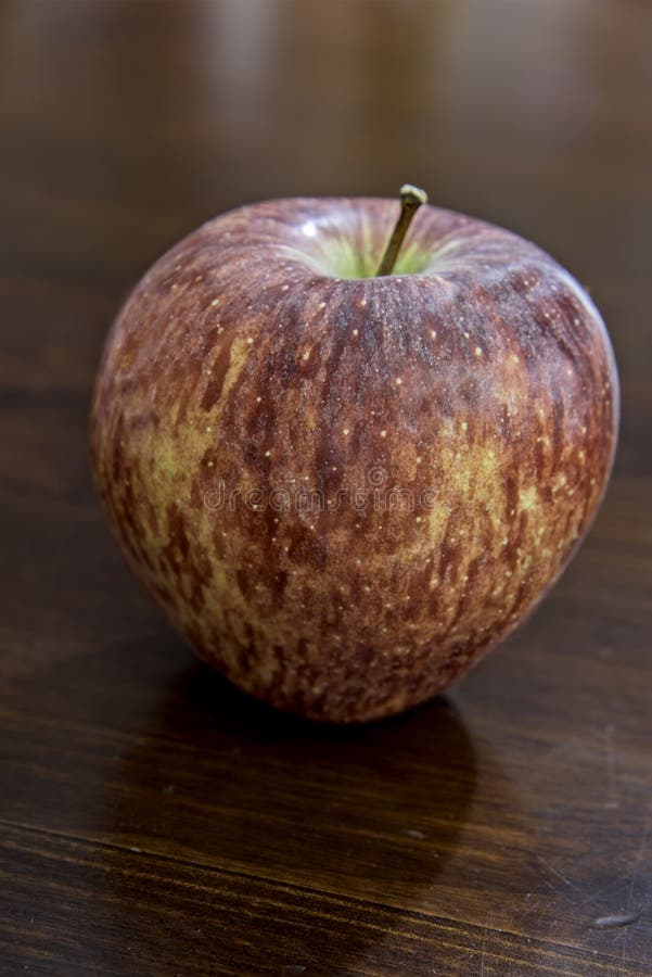 Apple stock photo. Image of autumn, natural, single, biological - 74401928