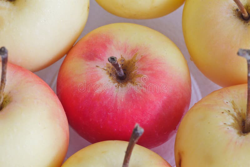 Apple small stock image. Image of fresh, dish, small - 33770255