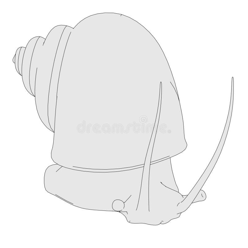 Apple snail stock illustration. Illustration of water - 54685692