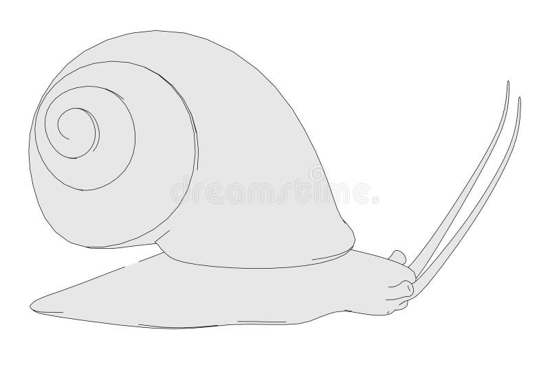 Apple snail stock illustration. Illustration of drawing - 54849204