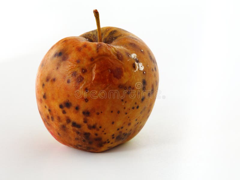 Apple Spoiled on White Healthy and Rotten Apples Stock Photo - Image of ...