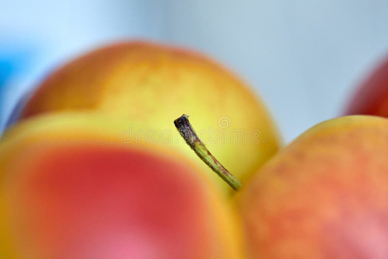 Apple stalk macro stock photo. Image of green, background - 18318828
