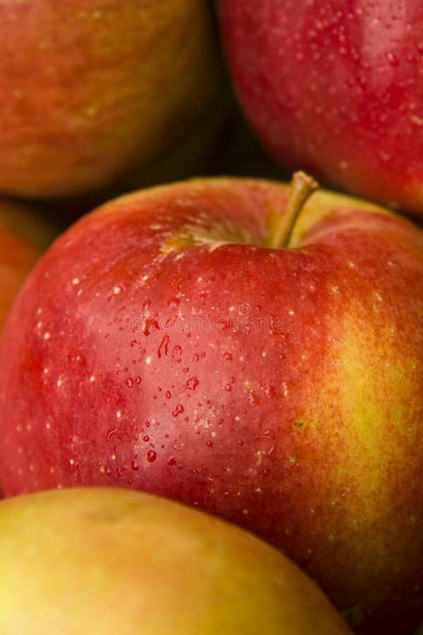 Apple Stem stock image. Image of meal, drop, healthy - 11360023