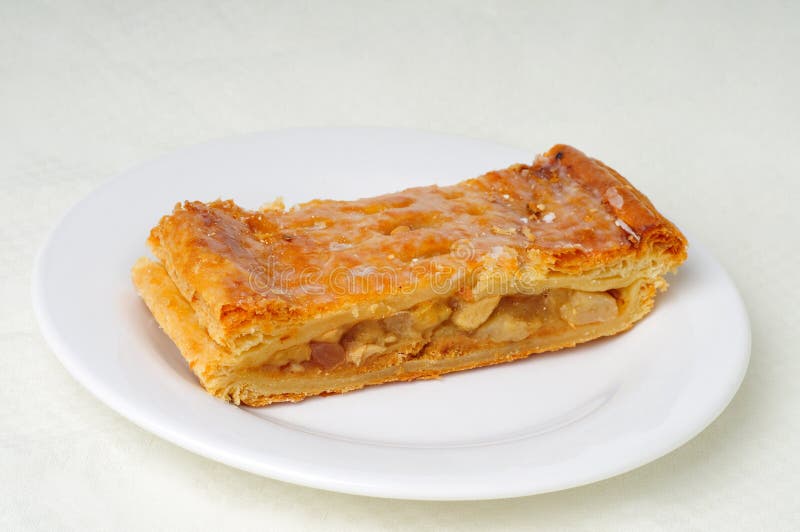 Apple strudel stock image. Image of apfelstrudel, cake - 9225429