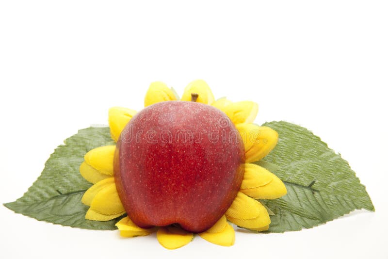 Apple on Sunflowers Blossom Stock Photo - Image of exempted, fruit ...
