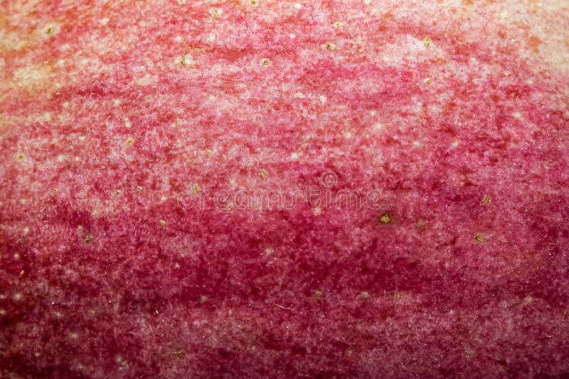 Apple Surface Texture and Pattern. Close-up of Fruit. Traditional ...
