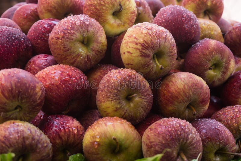 Apple is a Sweet Flavour Fruit Stock Image - Image of sweet, tree ...