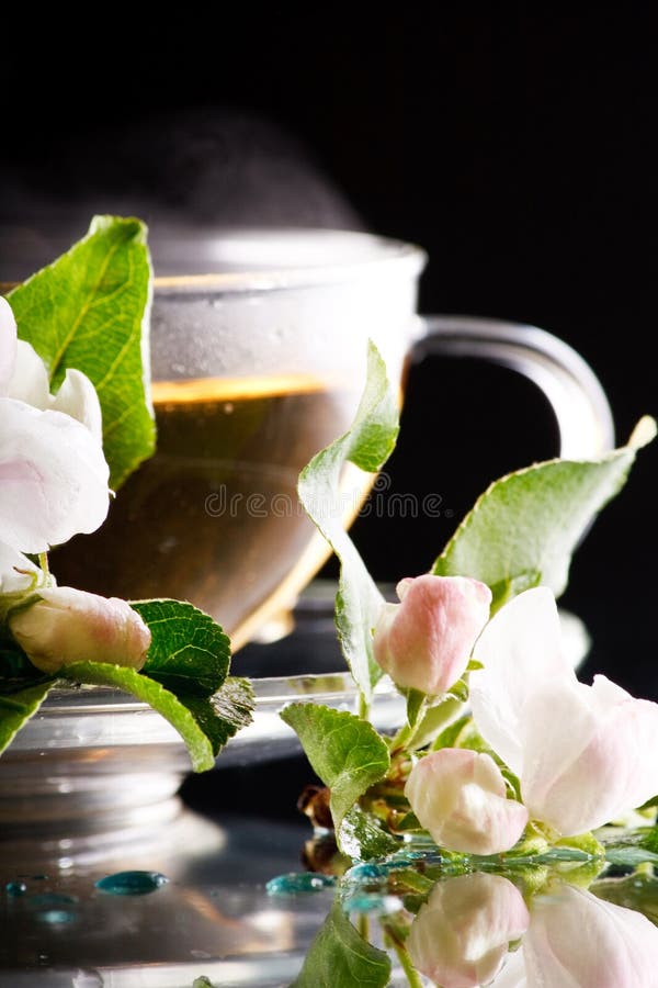 Apple tea stock image. Image of apple, seasoning, breakfast - 13469341
