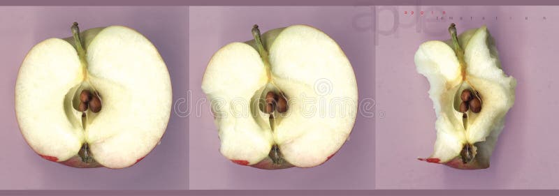 Apple Temptation stock image. Image of bite, seeds, food - 198797