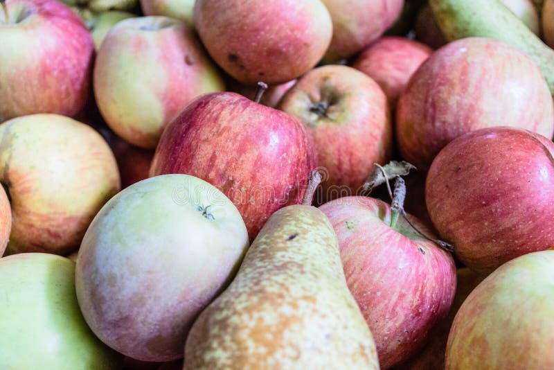 Apple Texture stock image. Image of texture, apple, rome - 113765483