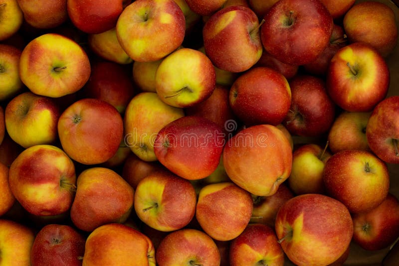 Apple Texture, Fresh Ripe Red Apples As Background.Apple Harvest Stock ...