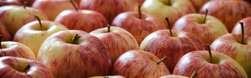 Red apple texture stock image. Image of freshness, agriculture - 104685639