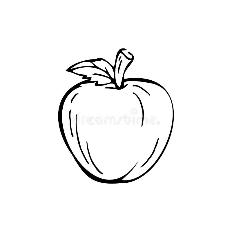 Apple Thin Black Lines on a White Background - Vector Stock Vector ...